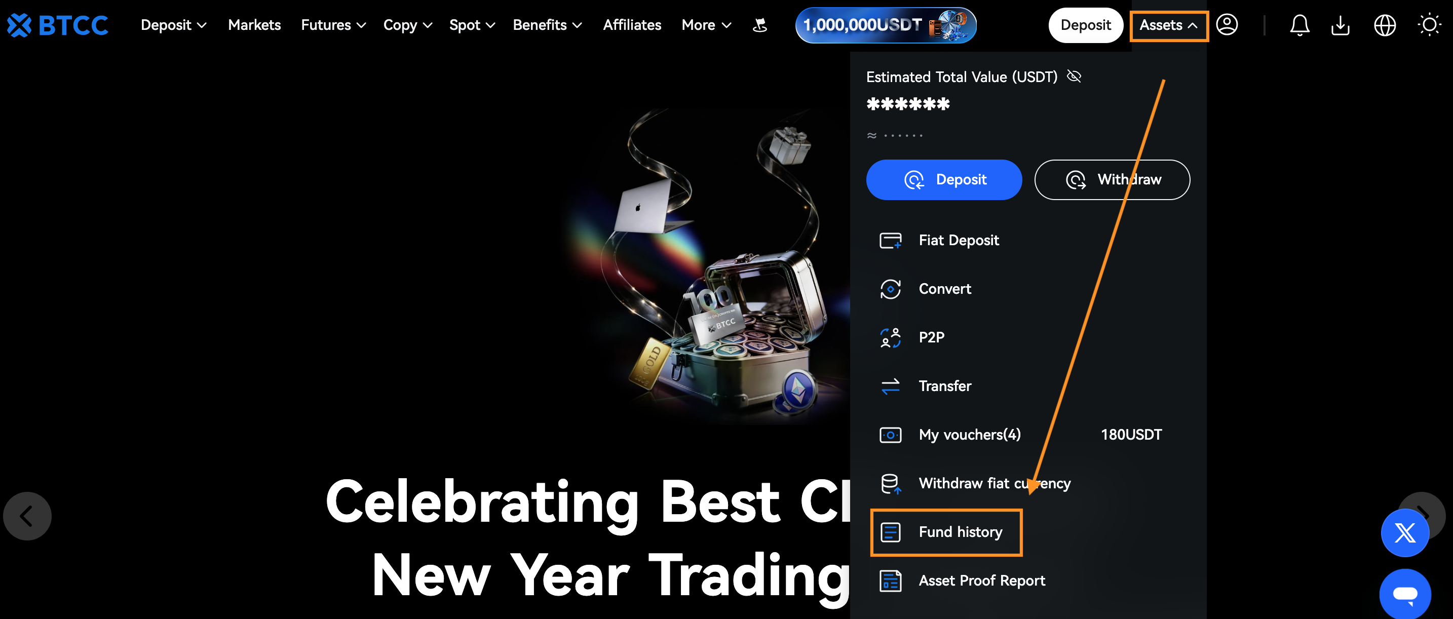 How to View and Download Fund History and Transaction Reports – BTCC ...